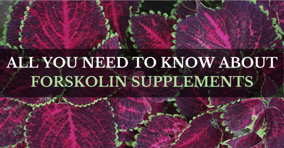 All You Need to Know About Forskolin Supplements