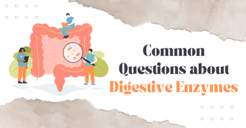 Common Questions about Digestive Enzymes - [Answered]