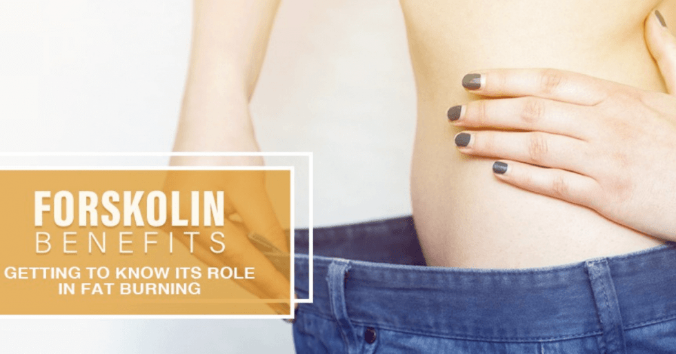 Forskolin Benefits: Getting To Know Its Role In Fat Burning - Whole ...