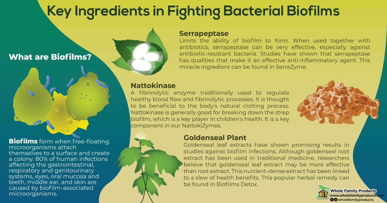 Natural Biofilm Disruptors: Discover How To Fight Bacterial Biofilms